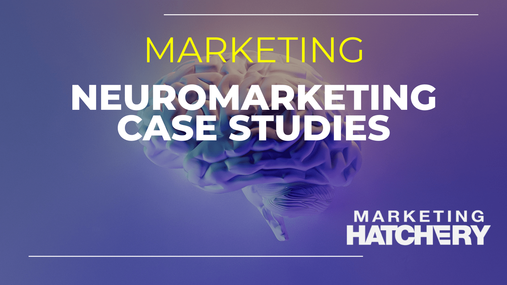 Unveiling Neuromarketing Mastery | Marketing Hatchery - SEO & PPC Experts in Franklin TN