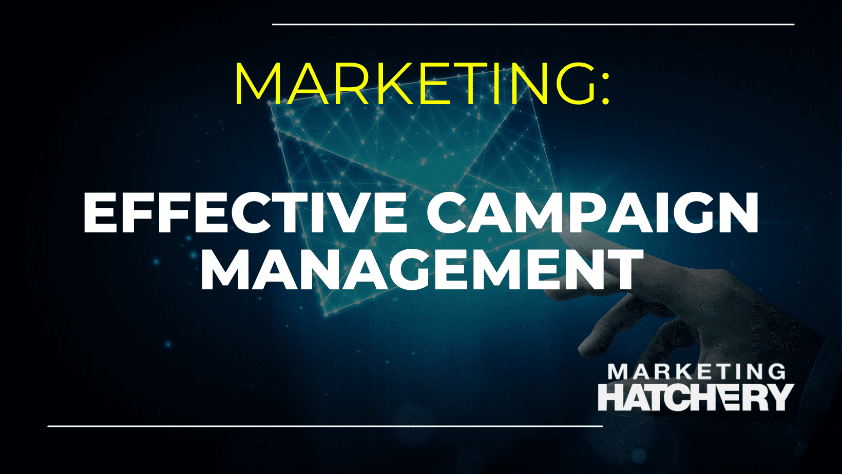 Digital Advertising: Tips for Effective Campaign Management | Marketing Hatchery - SEO & PPC ...