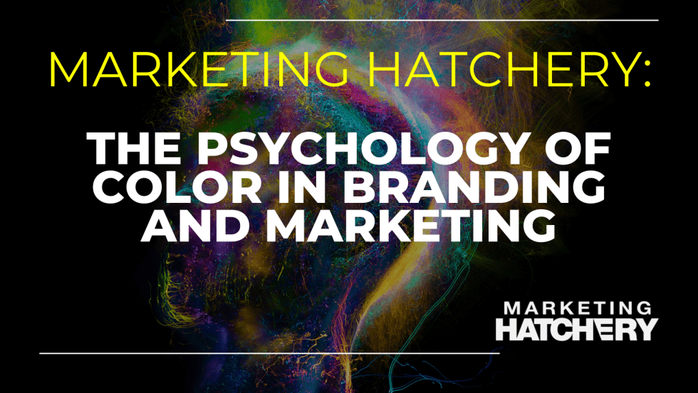 The Psychology of Color in Branding and Marketing | Marketing Hatchery ...